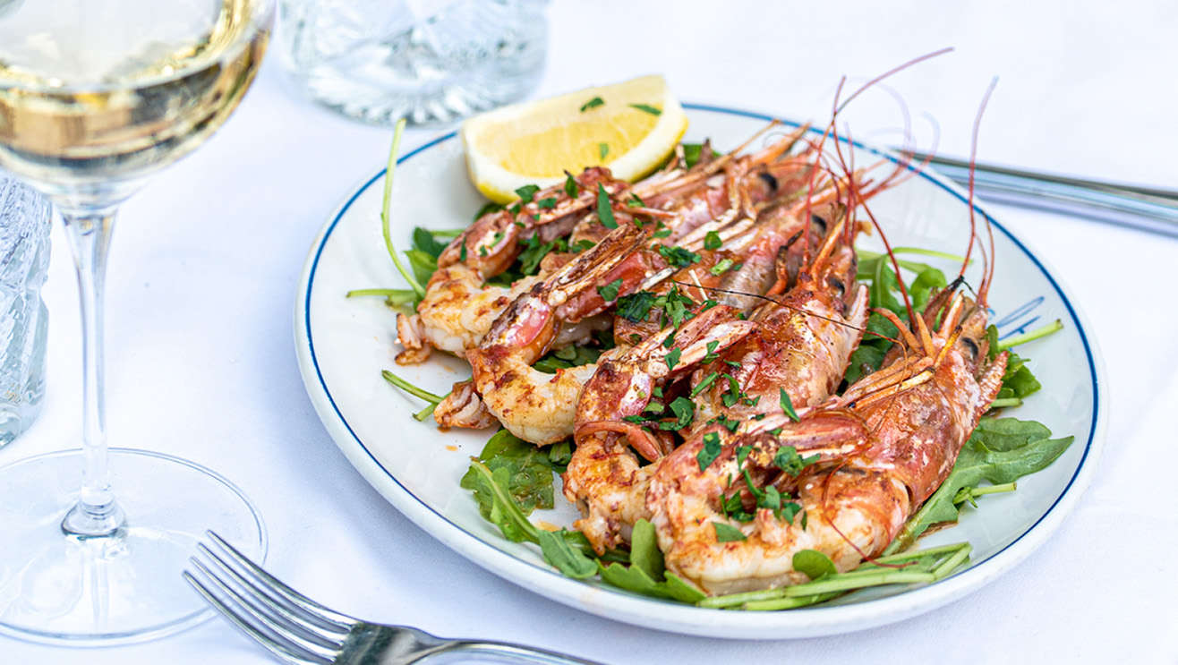 Alto by San Carlo | Selfridges London Alto by San Carlo | Selfridges London
