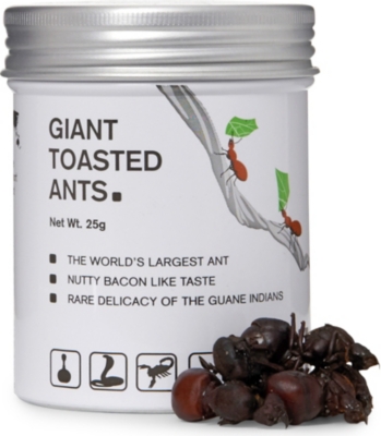EDIBLE - Giant toasted ants 20g | Selfridges.com