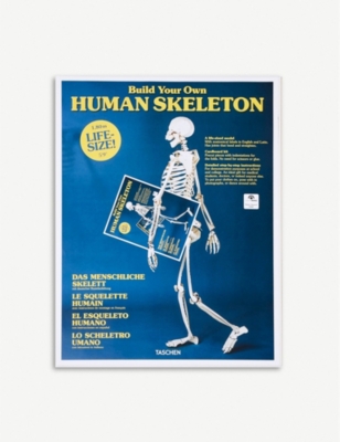 THE CONRAN SHOP - Taschen Build Your Own human skeleton kit ...