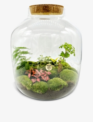 THE URBAN BOTANIST - Wedding Gift Mega ecosystem with lights ...