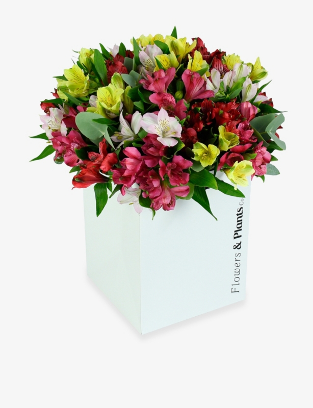 FLOWERS & PLANTS CO. - Autumn Daisy Fresh Flower Bouquet | Selfridges.com